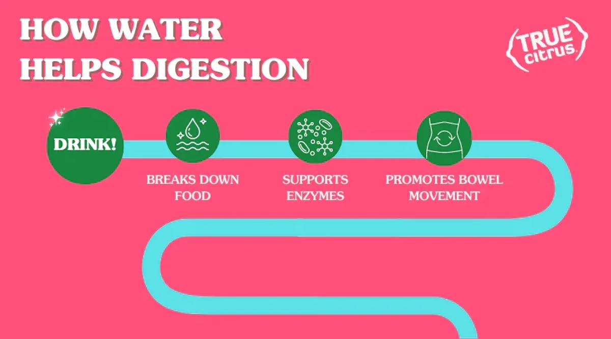 Does Water Help Digestion? | True Citrus